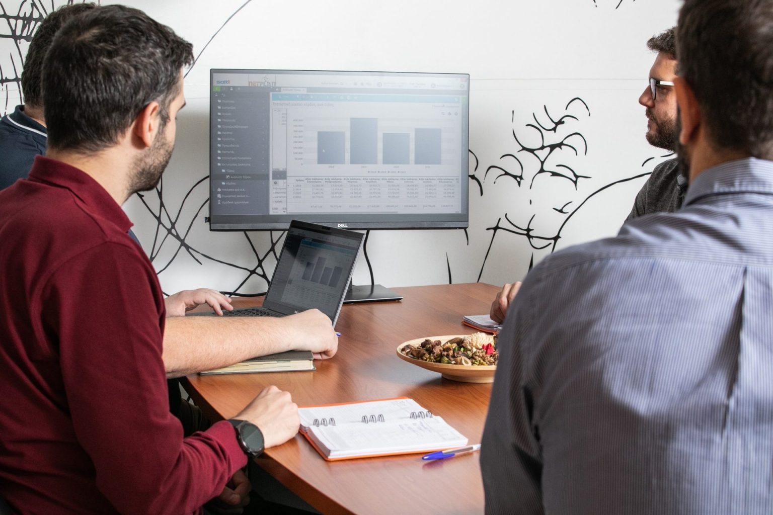 The Company - NetPlan